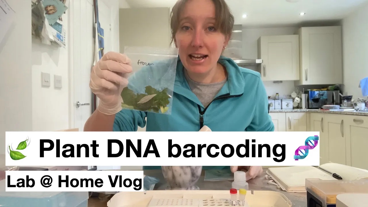 Lab@Home Vlog series | Bento Lab