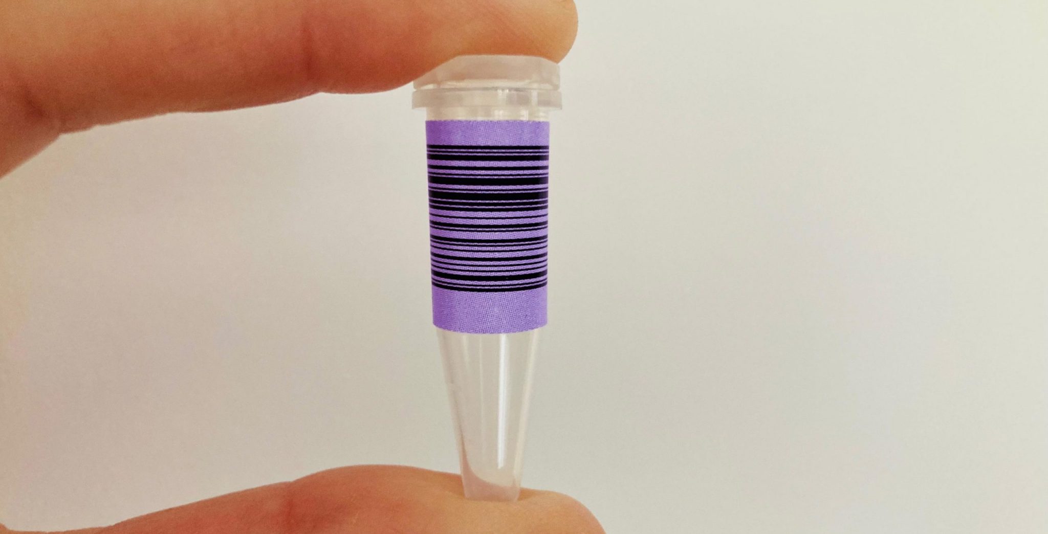 Sending Samples for Sequencing - Custom Primers | Bento Lab